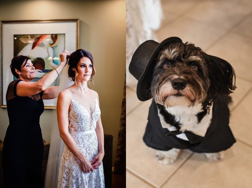 Timms Centre for the Arts Wedding | Wedding Photography and Videography ...